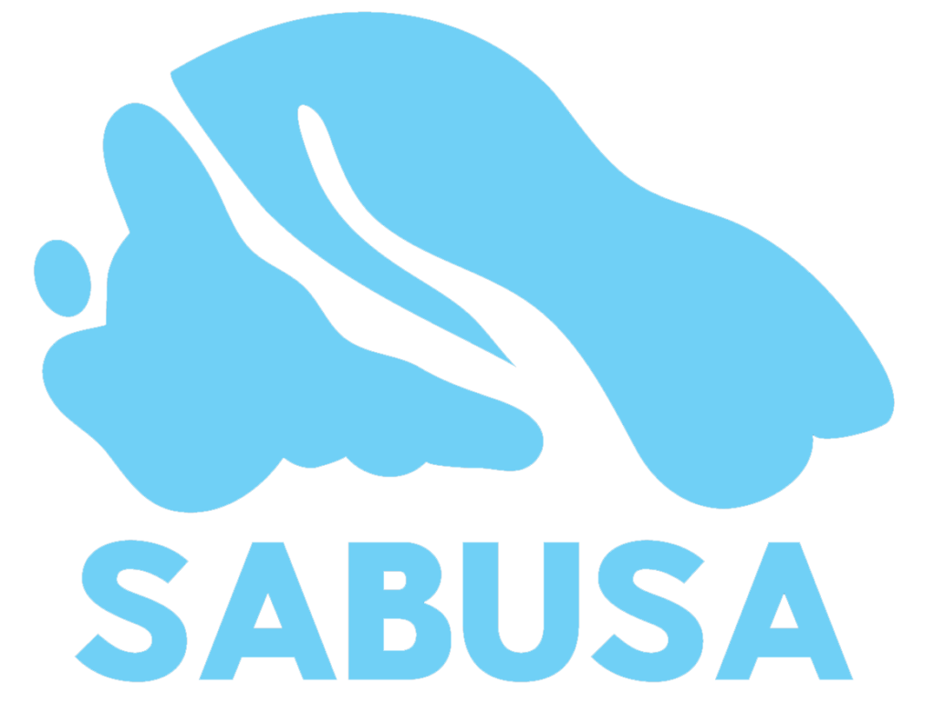 SABUSA DETAILING INDONESIA – Clean Shine and Go, Pakai SABUSA!